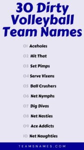600+ Volleyball Team Names to Make Your Team Stand Out