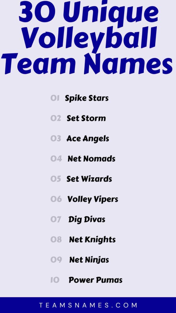 Volleyball Team Names Creative And Inspiring Ideas The Funny Puns