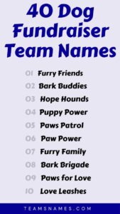 480 Creative Fundraising Team Names for Every Cause